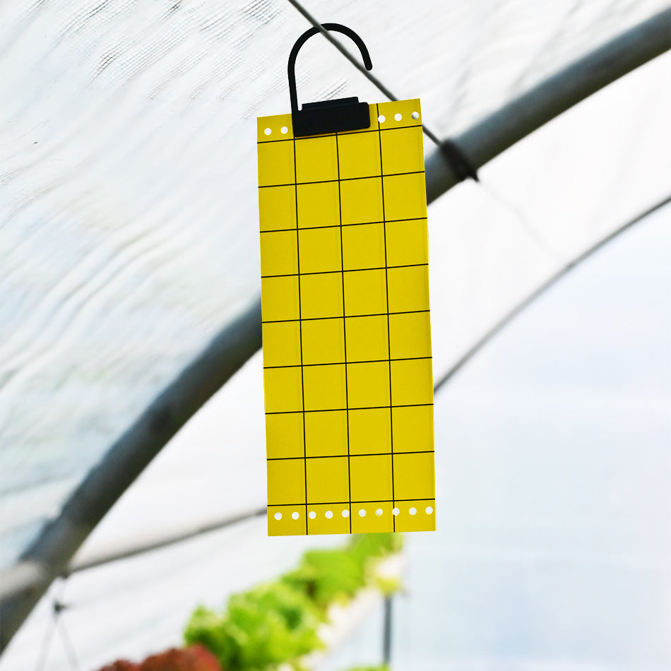 Insect Catcher - tiedgarden.com