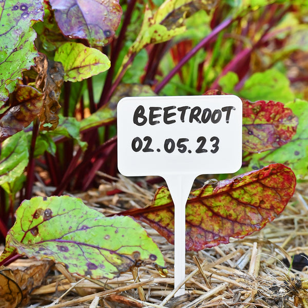 T-Labels - tiedgarden.com