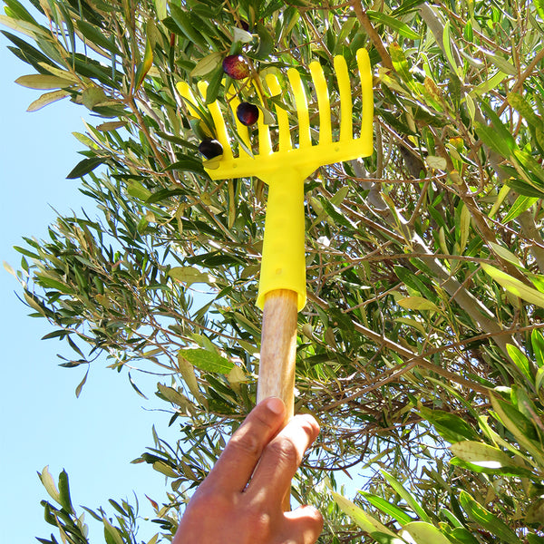 Compact Garden Rake - tiedgarden.com